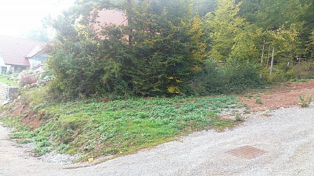 Posest, Osrednjeslovenska, Videm - Dobrepolje, Predstruge, zazidlji...