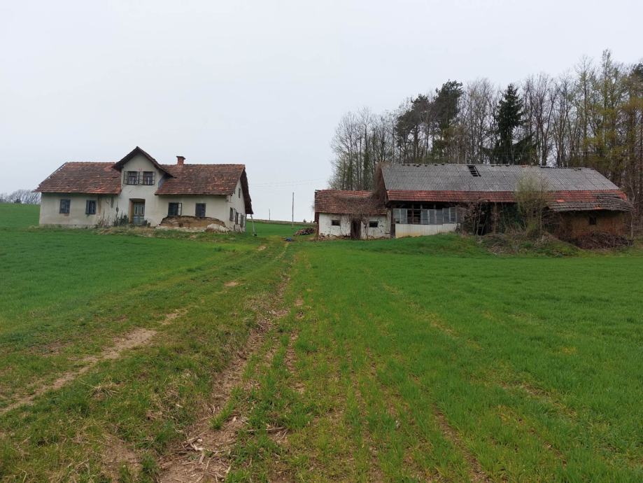 Posest - podravska/pomurska regija, zazidljiva parcela, 30000m2