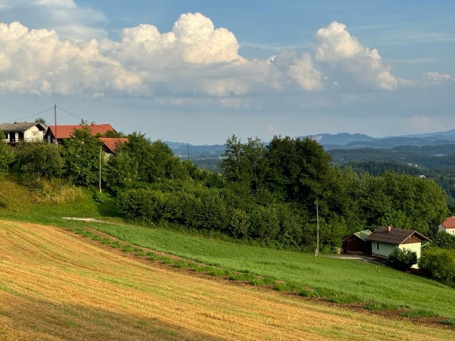 Prodamo vinograd Bela Gora, Dramlje
