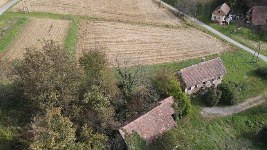 Spodnji Duplek, 32481 m2