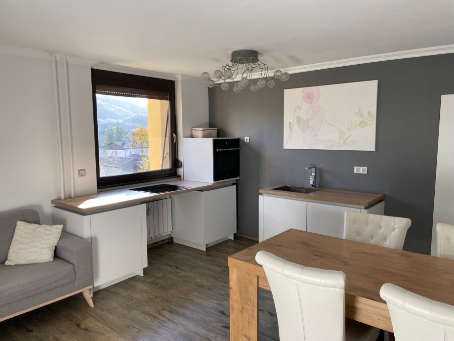 Stanovanje Pucova ulica, Celje Možna menjava (prodaja)