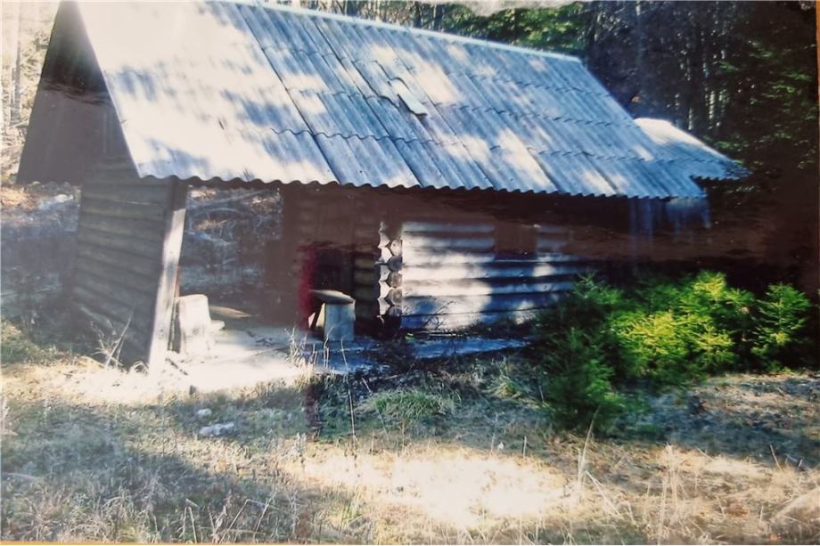 travniki za sadovnjak, vrtiček, gozd z brunarico