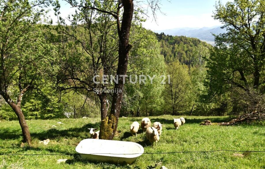 Vransko, Selo pri Vranskem, Hiša, kmetija (prodaja) (prodaja)