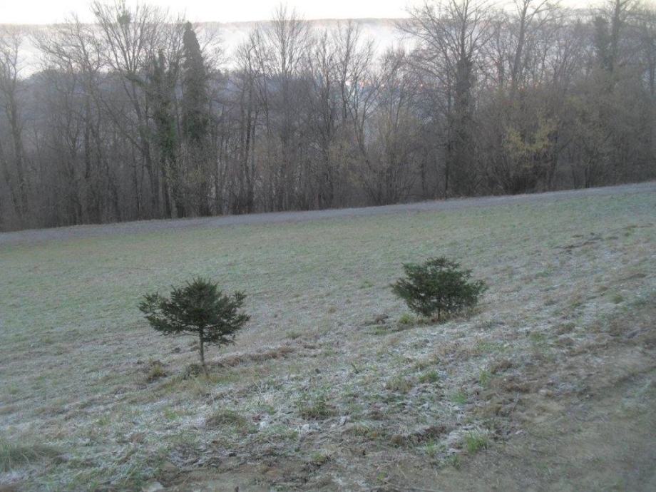 Zazidljivo zemljišče, Preša