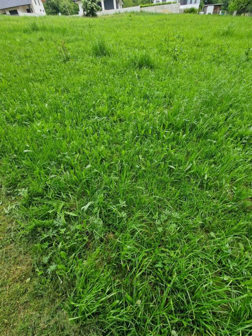 Zgornja Korena, 619 m2