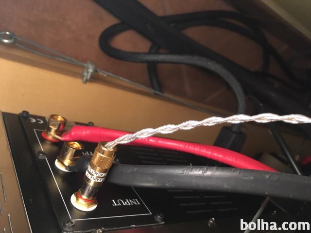 KLIMO KENT Gold improved
