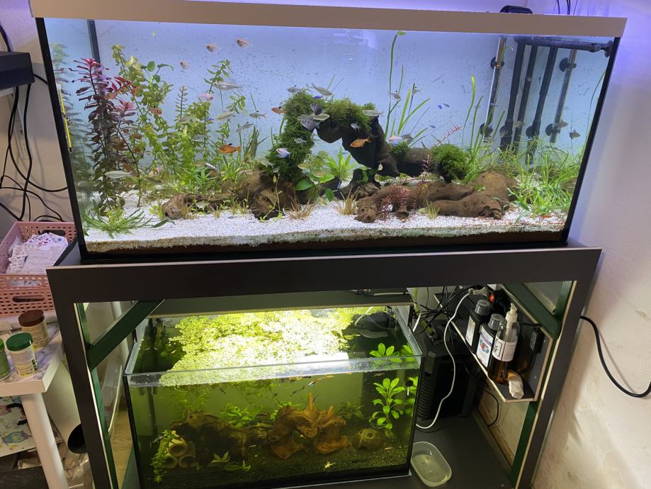 Akvarij 300L+vsa oprema