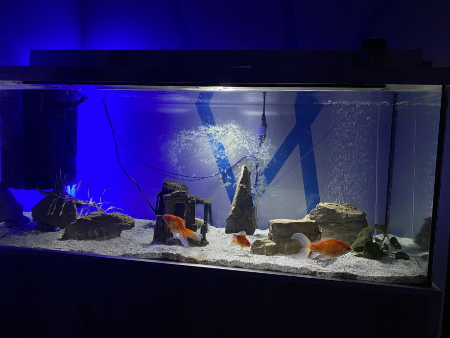 Akvarij 300L z opremo