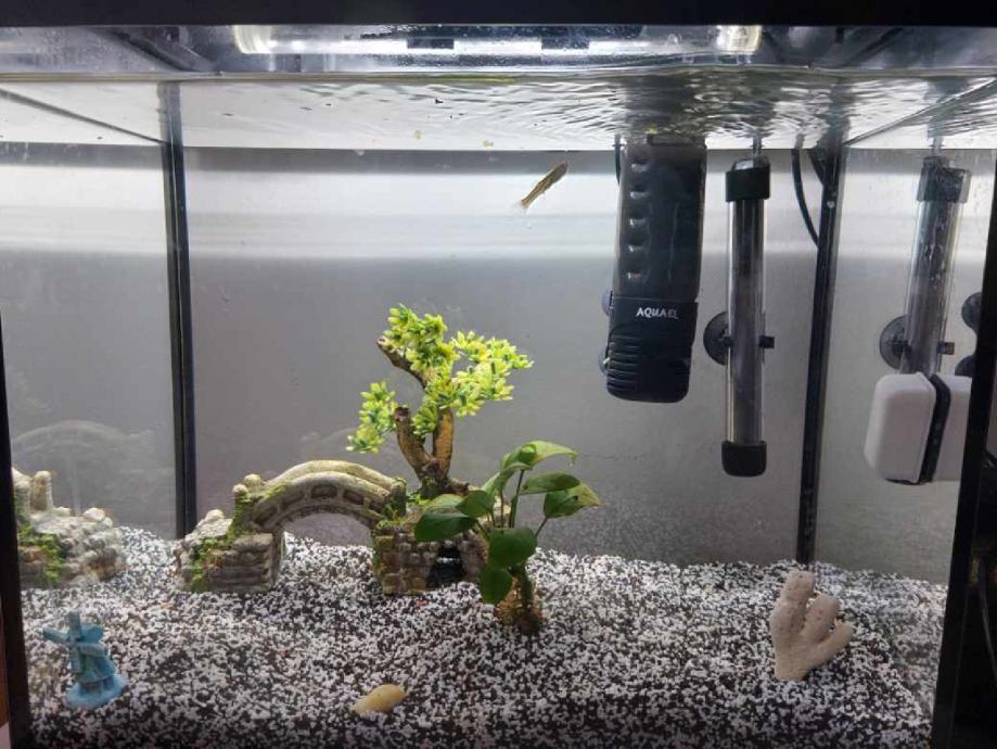 akvarij 30l