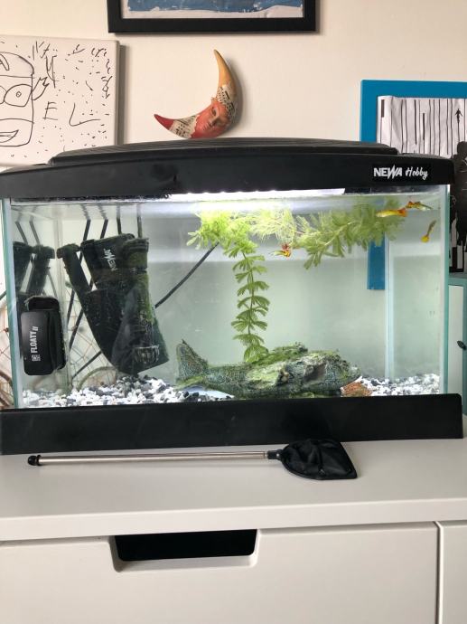 AKVARIJ - 30l z ribicami