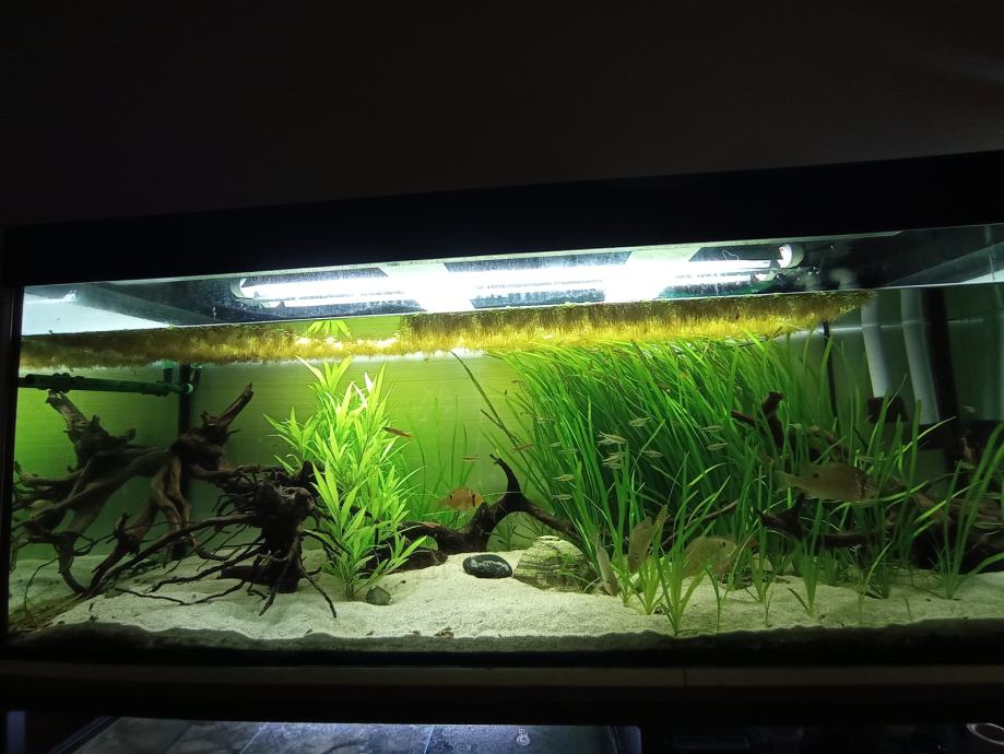 Akvarij 500L