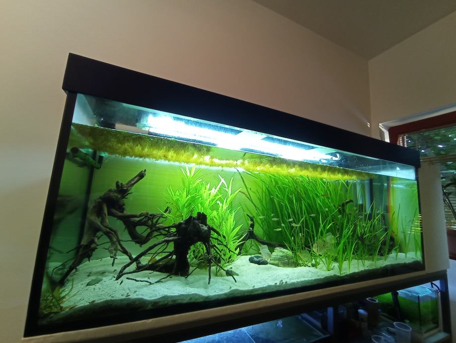 Akvarij 500L