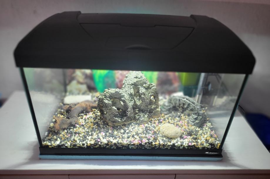 Akvarij 60l led + 40l plasticni akvarij