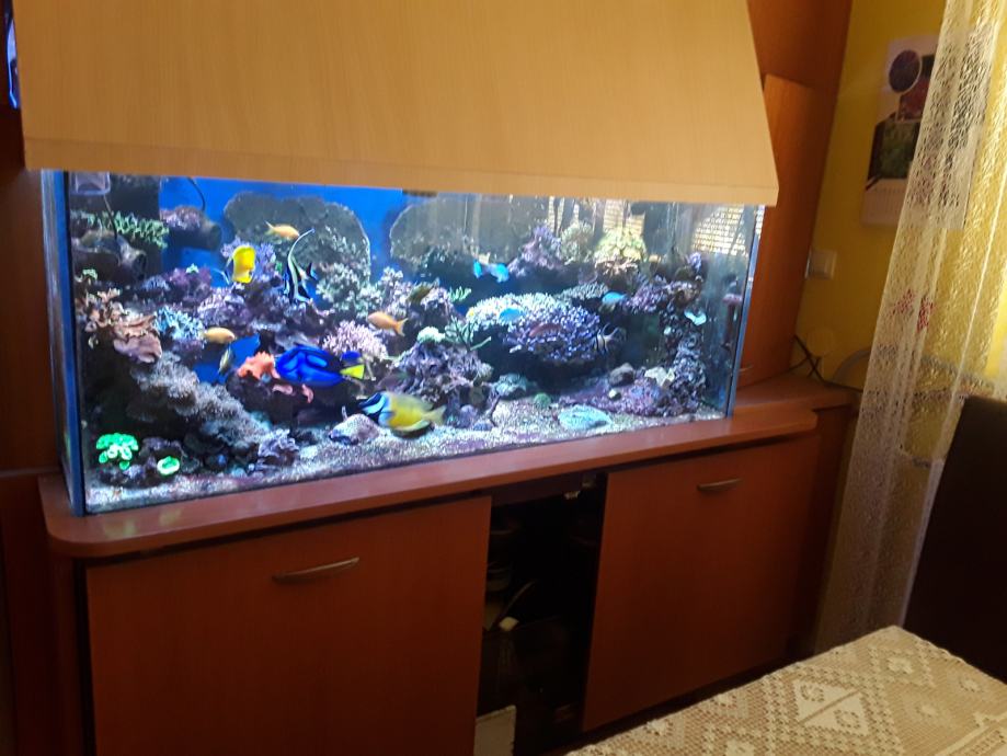 Akvarij 750 l