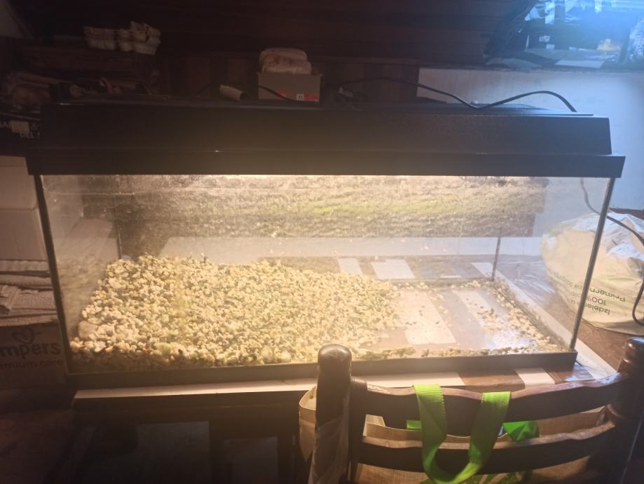 akvarij juwel monolux 80
