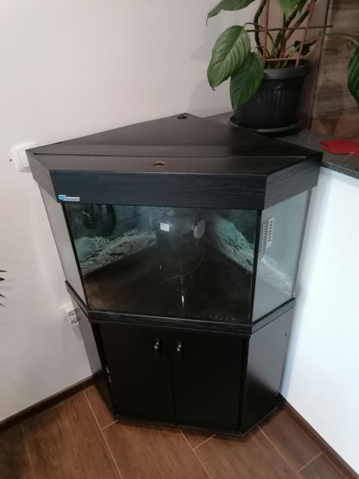 Akvarij kotni