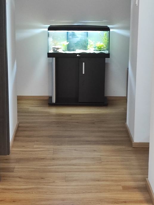 Akvarij + omarica + začetni komplet + 12 ribic