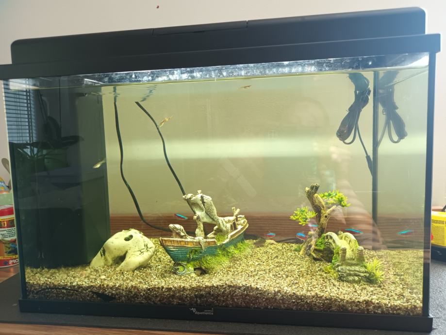 Akvarij za ribe, 60l
