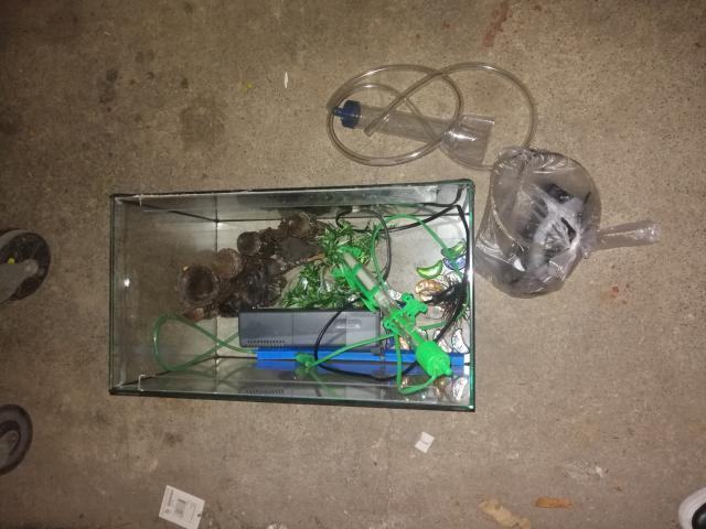 Akvarij za ribice 30 l