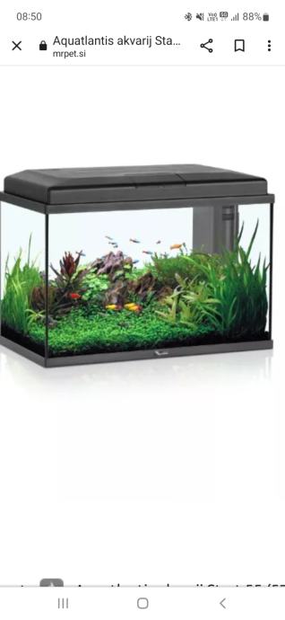 Akvarij za ribice z opremo