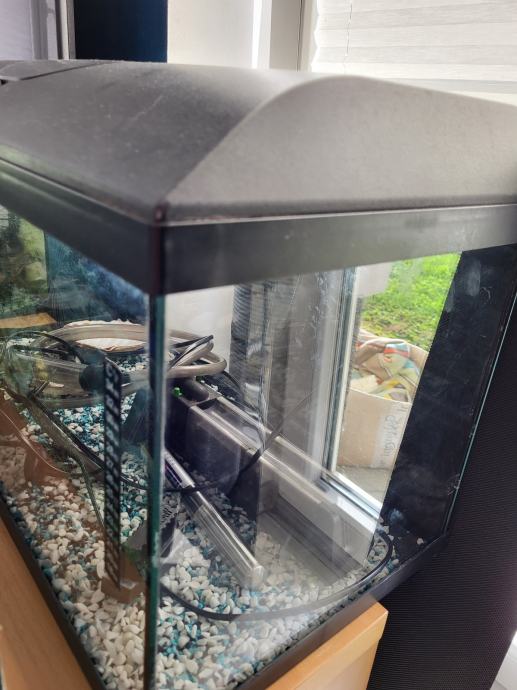 Akvarij za ribice z opremo