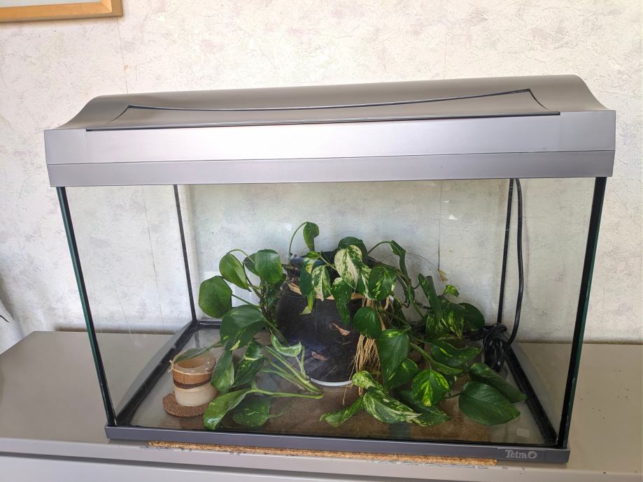 Akvarij Tetra 60l