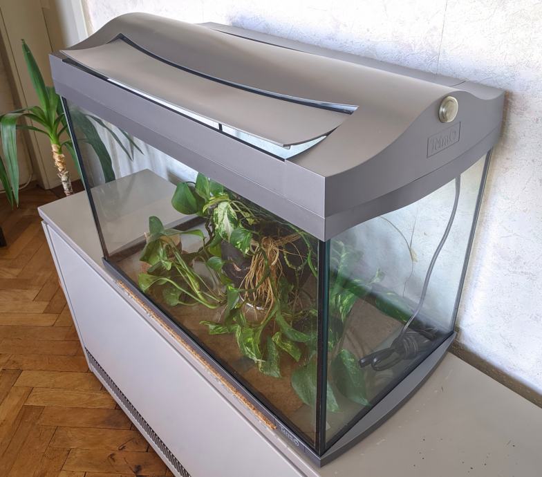 Akvarij Tetra 60l
