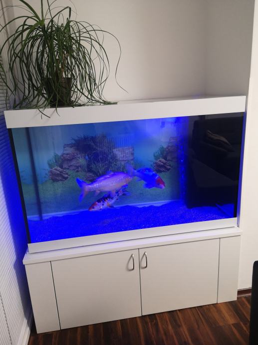 Akvarij z omarico in ribami 500l