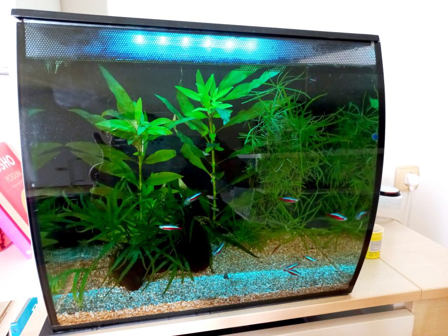 akvarijski set (57 litrov)