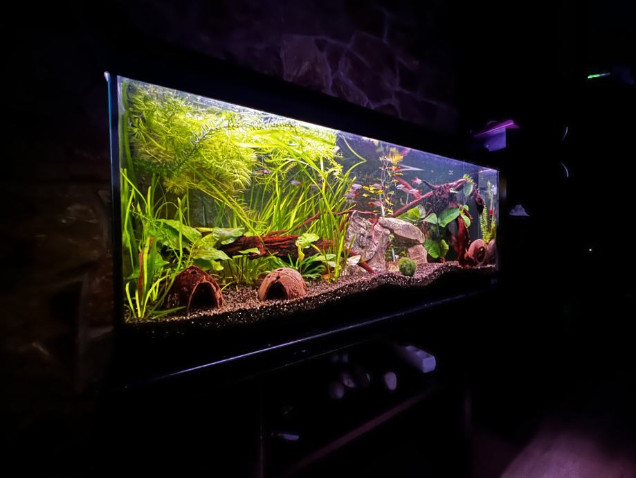 Juwel akvarij 120 L s stojalom