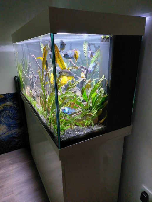 Juwel Rio 350 LED set + Omarca