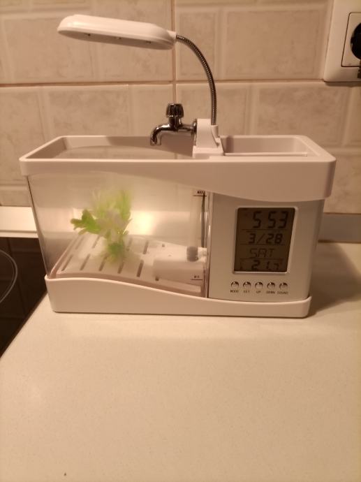 MINI AKVARIJ ZA RIBICE