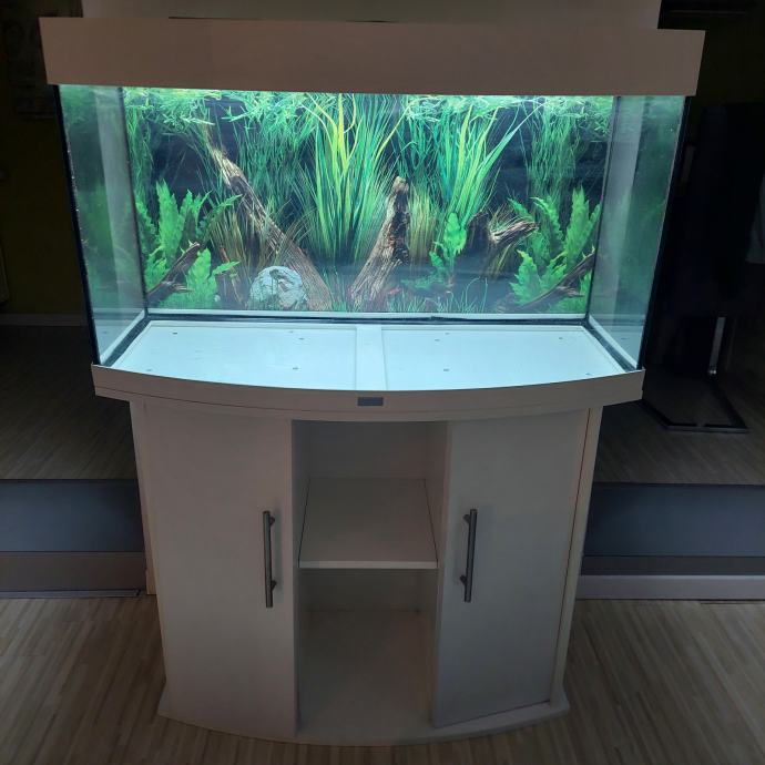Prodam 250l akvarij z opremo