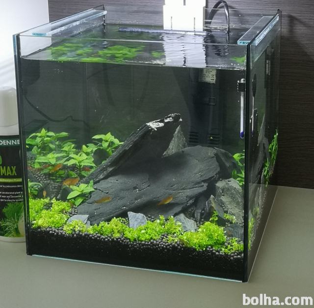 Steklen nano akvarij z opremo