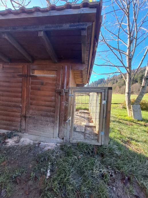 Kokošnjak