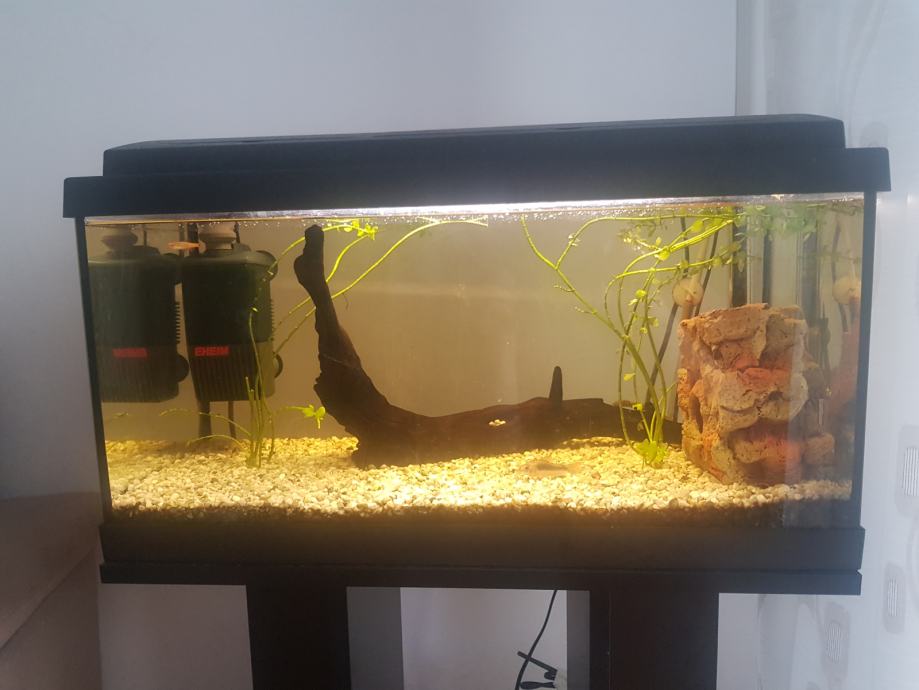 Prodam akvarij za ribe