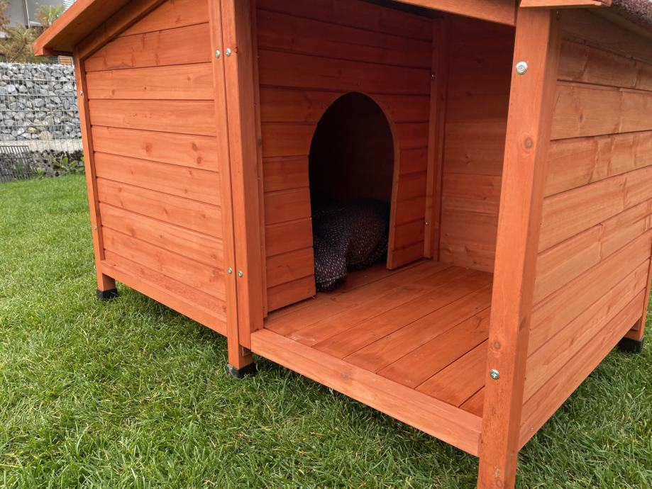 Pasja uta Spike Special - nerabljena