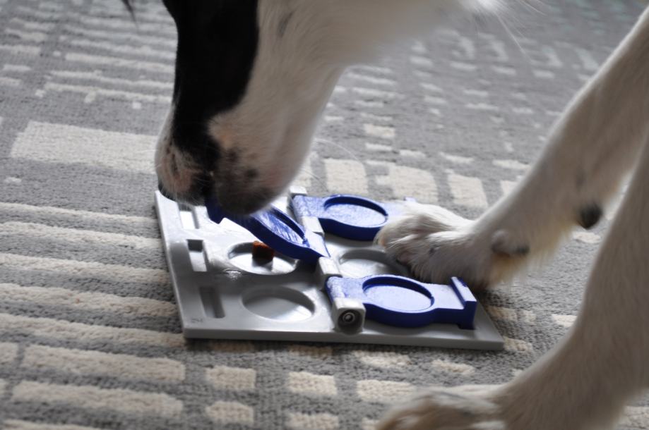 Pawesome puzzle interaktivne igrače za pse
