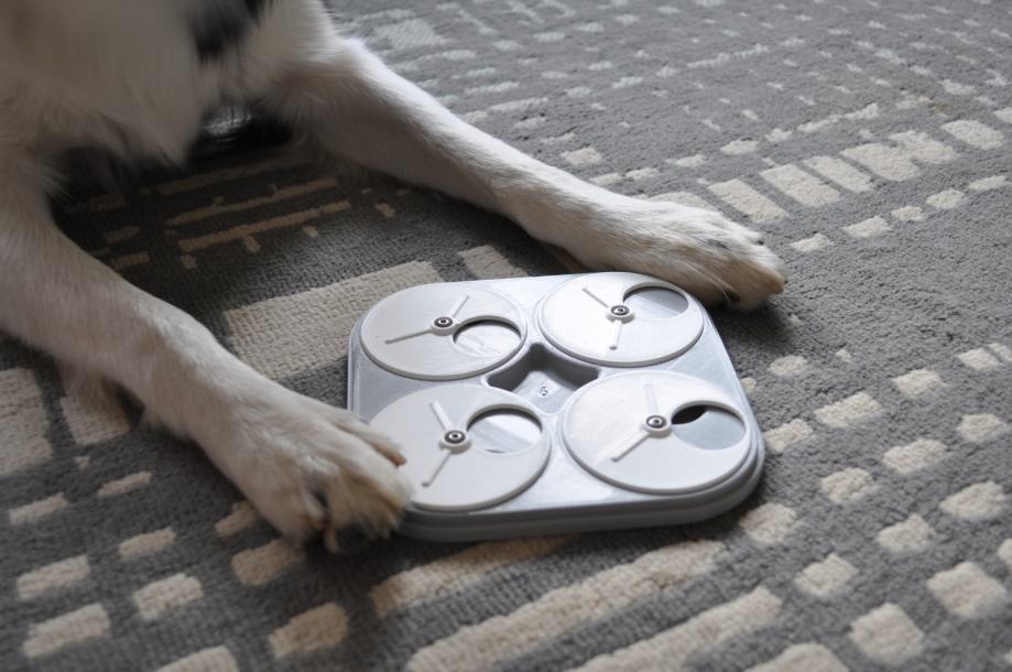 Pawesome puzzle interaktivne igrače za pse