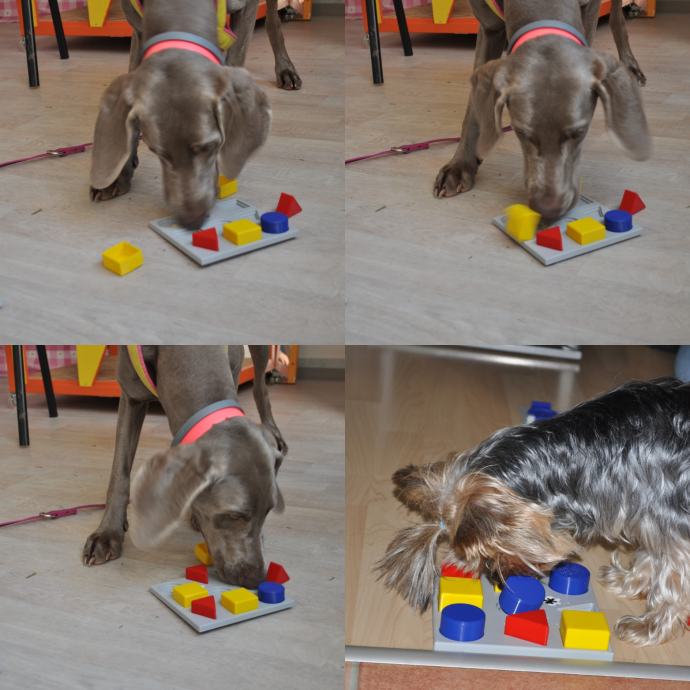 Pawesome puzzle interaktivne igrače za pse
