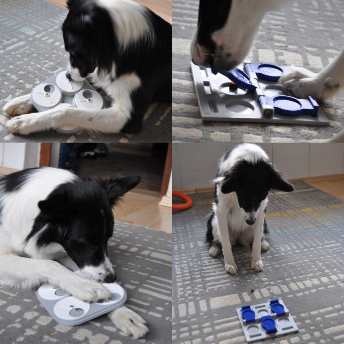 Pawesome puzzle interaktivne igrače za pse