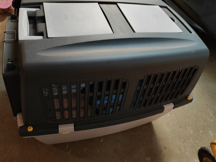 Transporter za psa