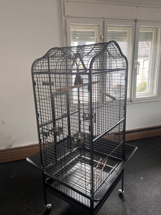 Kletka za ptice
