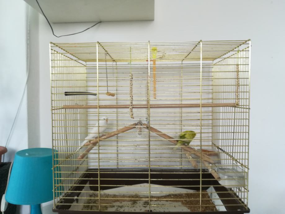 Kletke za ptice