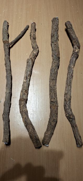 veje plute za terarij, dekoracija