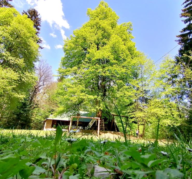 Piknik prostor, koča na samem, TOP lokacija, Oaza Preske