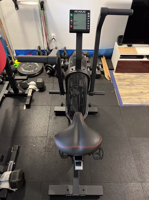 Rogue Echo Bike v2.0 – skoraj nerabljen