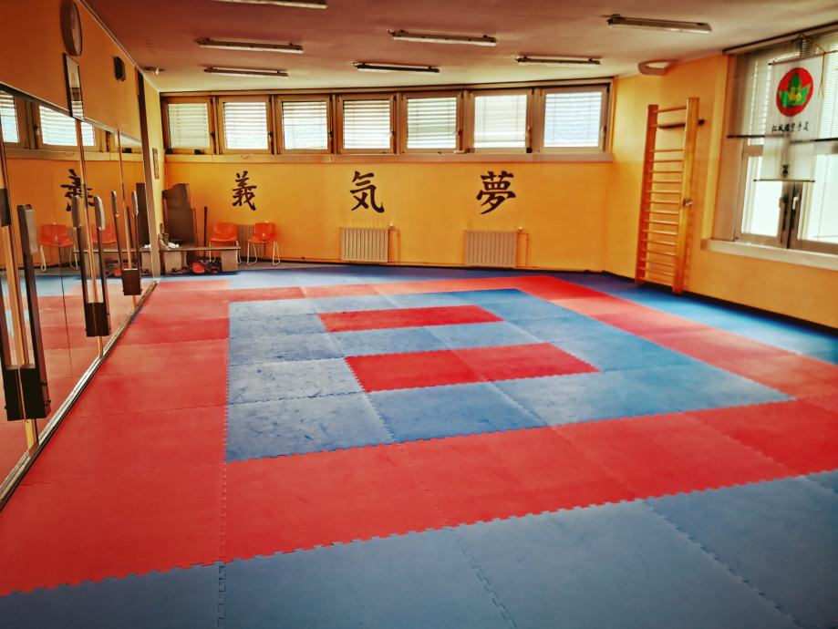 Tatami blazine 2 cm