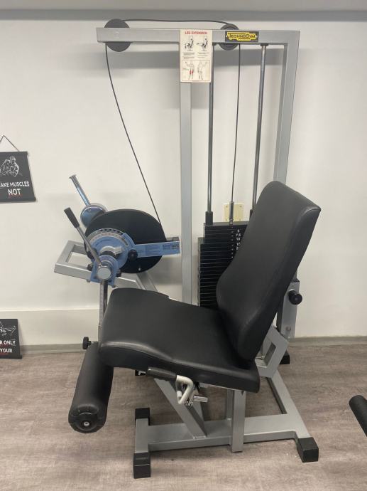 Technogym Isotonic duo set Leg Extension in Leg Curl, izteg in upogib