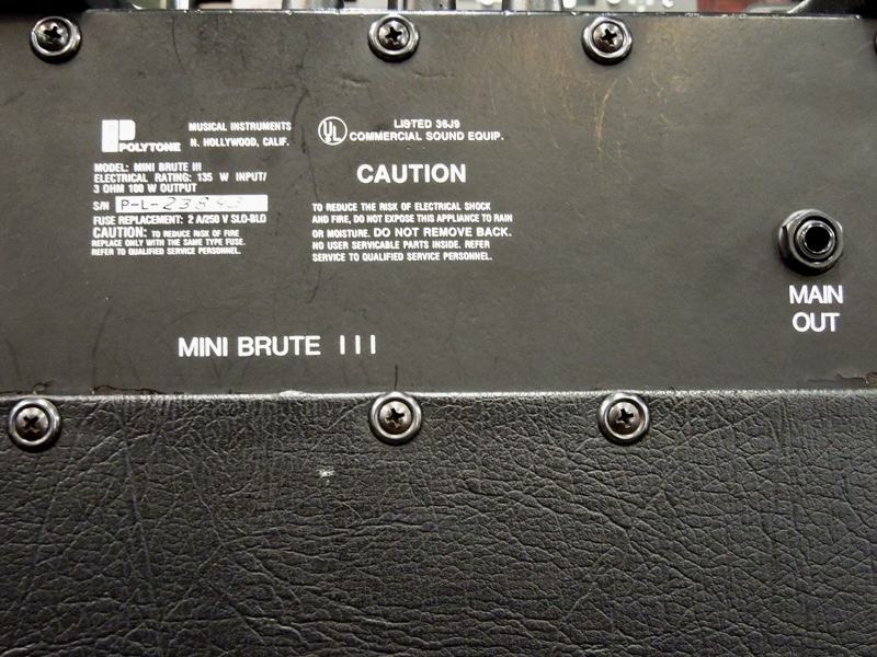 Polytone Mini Brute Bass Kombo